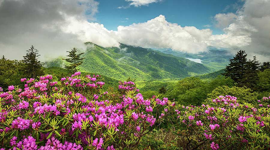 20 Most Stunning Spring Destinations in the World | Travel Diaries ...