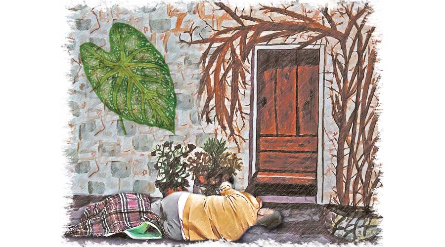 The Last Leaf | Fiction - MAG THE WEEKLY