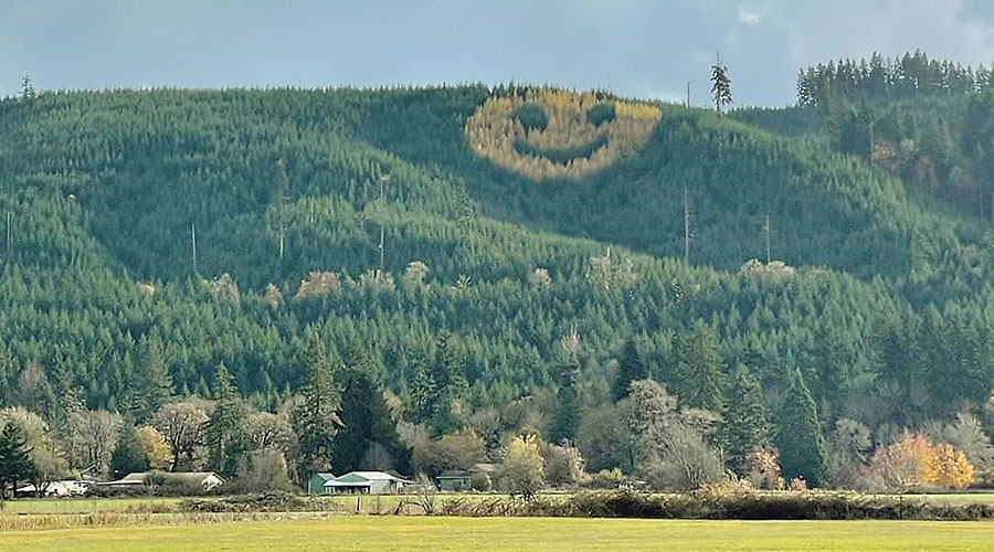Massive smiley face of trees appears in Oregon every fall – Here's how ...