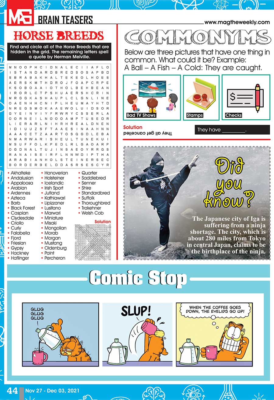 HORSE BREEDS | Brain Teasers - MAG THE WEEKLY