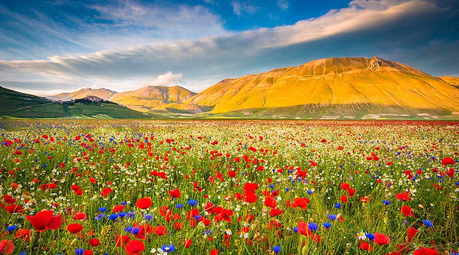 20 Most Stunning Spring Destinations in the World | Travel Diaries ...
