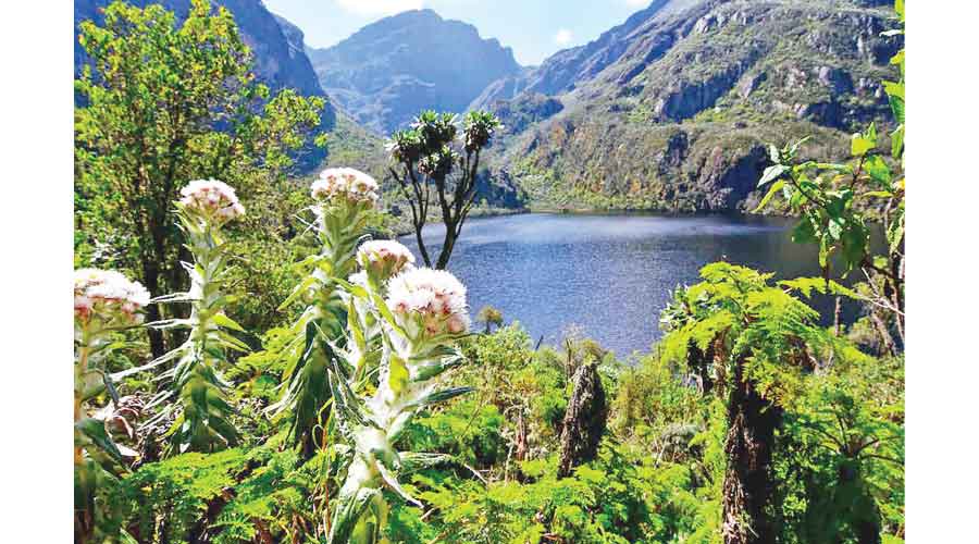 5 Best Places To Visit In Uganda | Travel Diaries - MAG THE WEEKLY